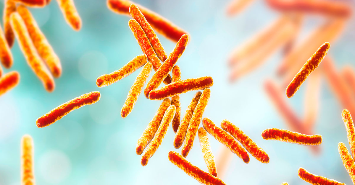 Mycobacterium Tuberculosis Bacteria Structure