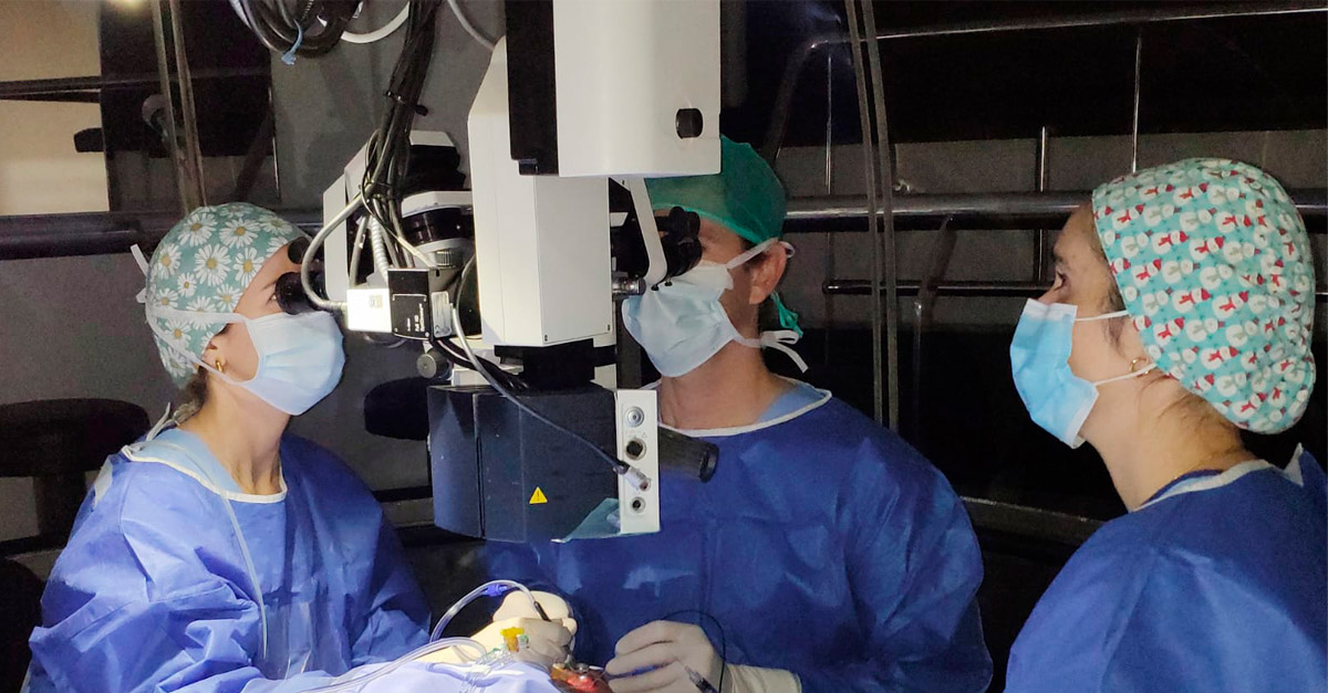 Iniciamos un nuevo ensayo para tratar la DMAE húmeda